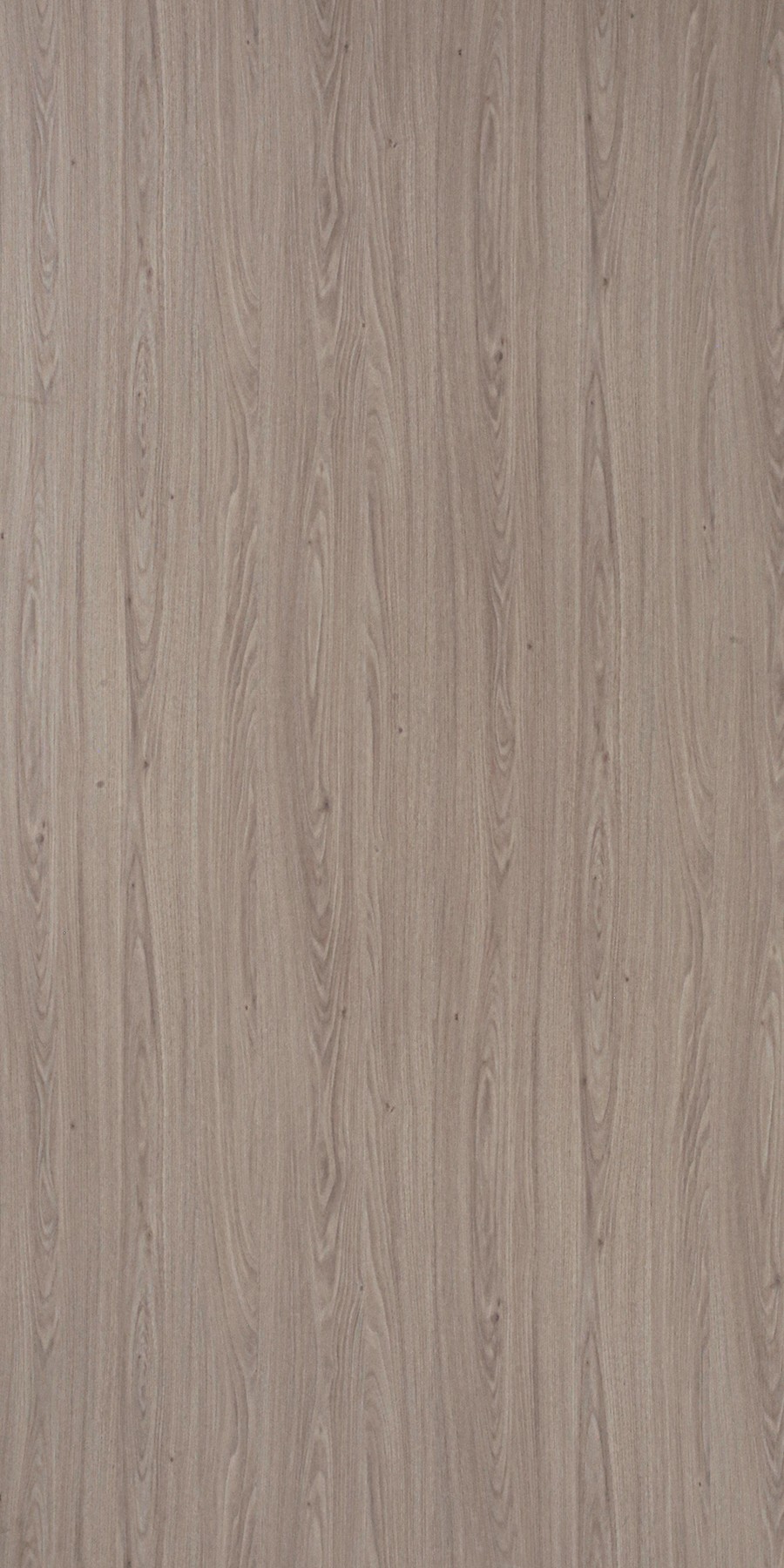 Buy Nordic Acacia Laminates with Suede (SUD) finish in India - Greenlam ...